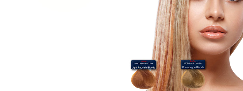100% Organic Hair Color Chart with 24 Stunning Shades – Radico USA