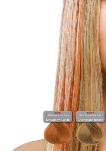 100% Organic Hair Color Chart with 24 Stunning Shades – Radico USA