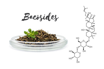 Organic Hair Treatment & Shampoo without Chemicals – Radico USA