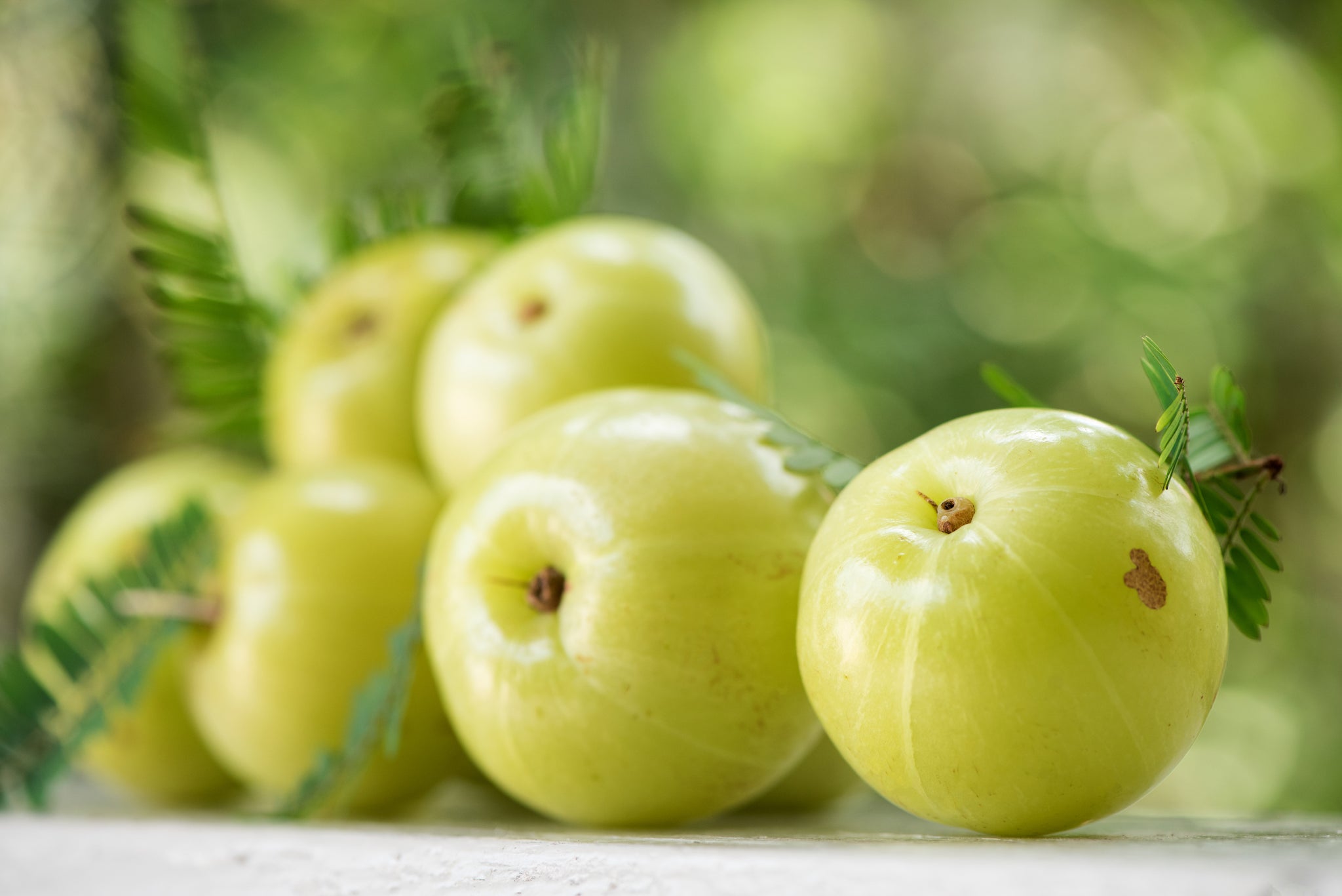 Organic Amla Fruit Powder For Hair – Radico USA